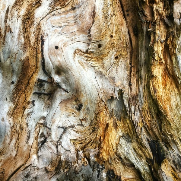 FORMÆ | La résonance des savoir-faire : un écho tellurique du monde moderne